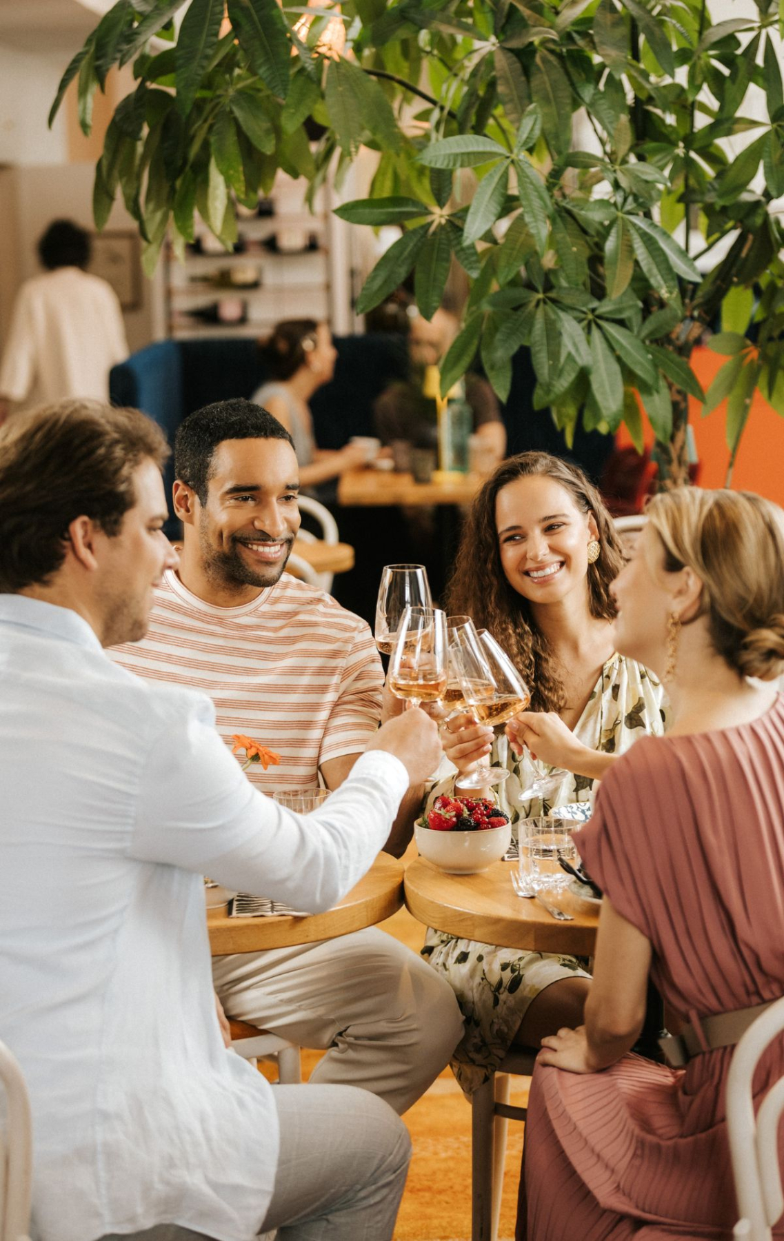 Basil Spritz Rezept | Schlumberger Online Shop